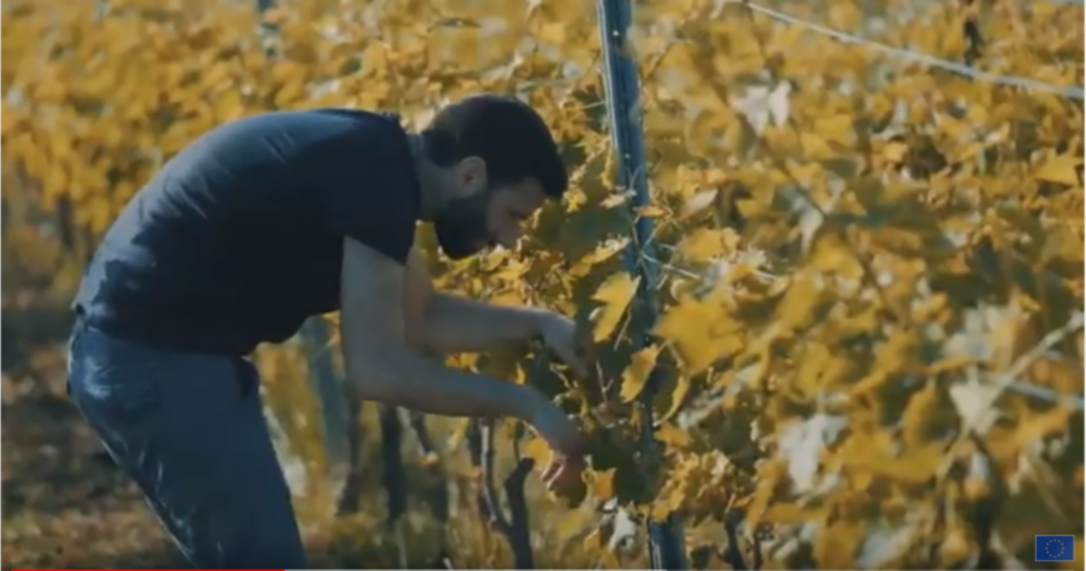 Agencija za plaćanja u poljoprivredi, ribarstvu i ruralnom razvoju