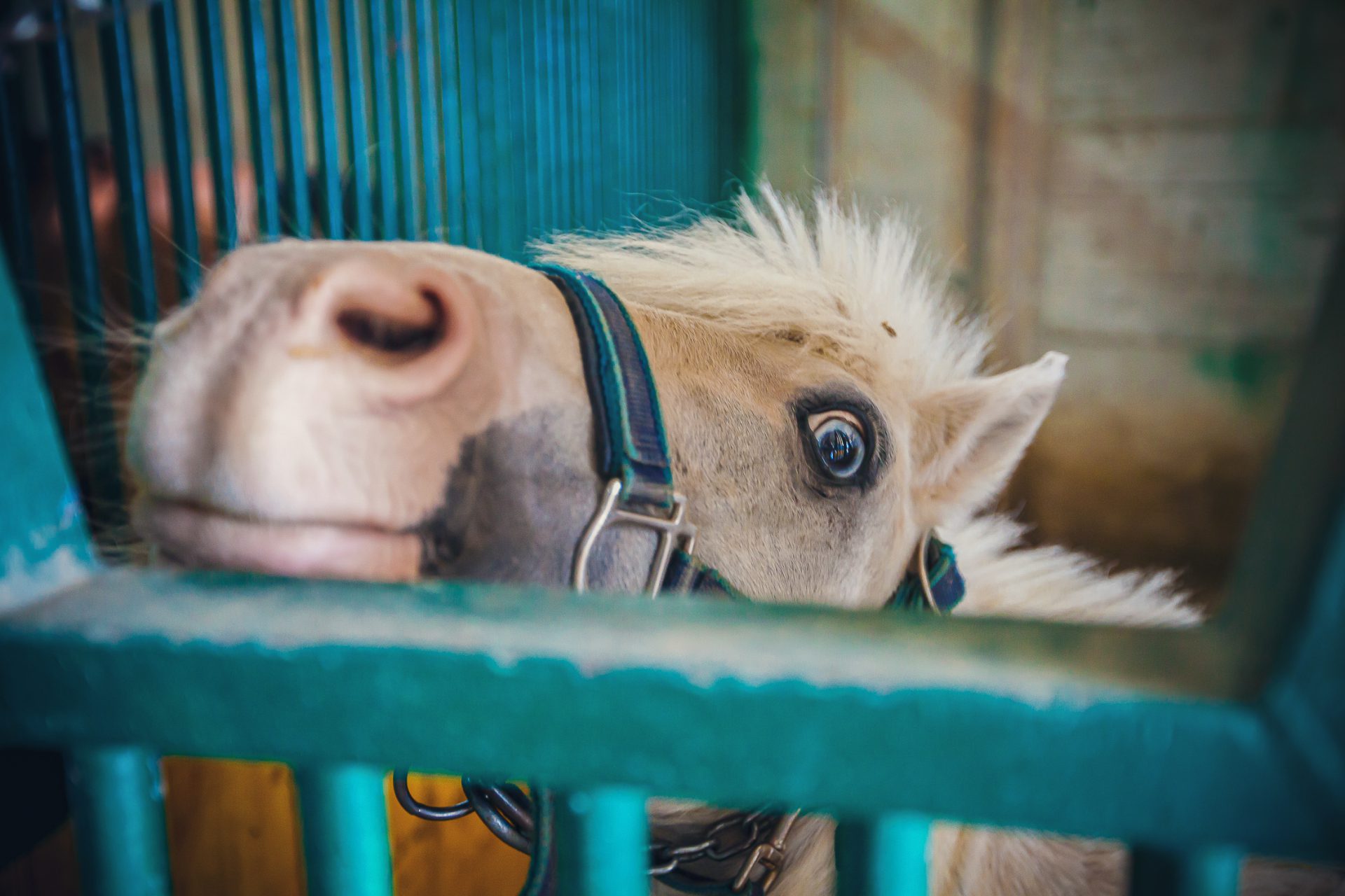73.14. Ulaganja – Razvoj poslovanja u ruralnim područjima - Agencija za ...