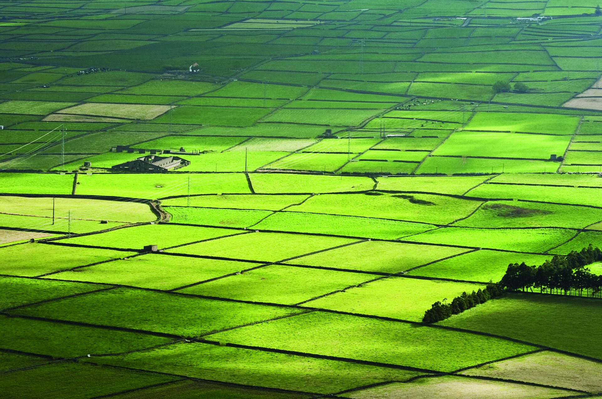 EK objavila Provedbenu uredbu 2024/587: prihvaćen hrvatski prijedlog o ...