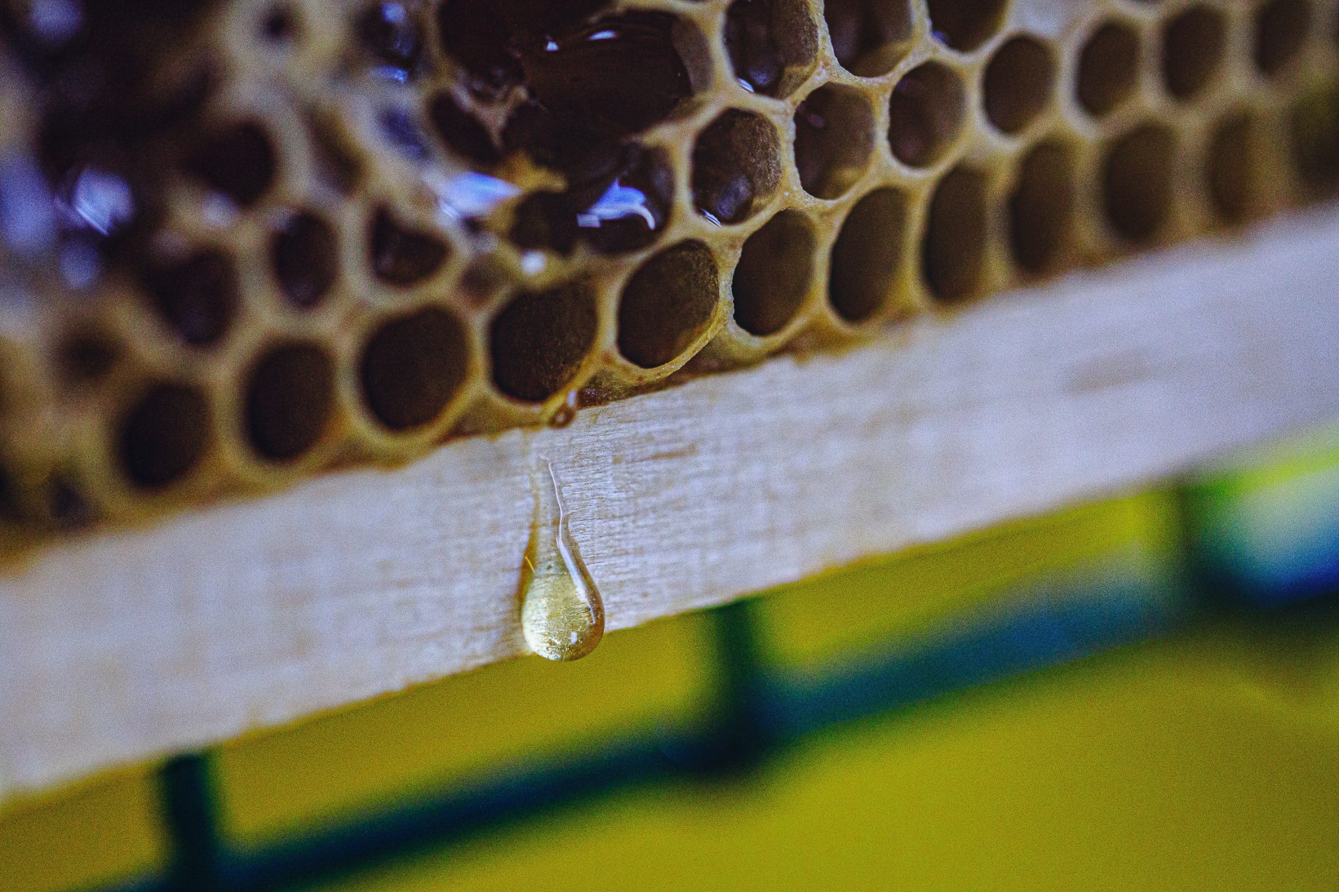 Obavijest pčelarima - Agencija za plaćanja u poljoprivredi, ribarstvu i ...